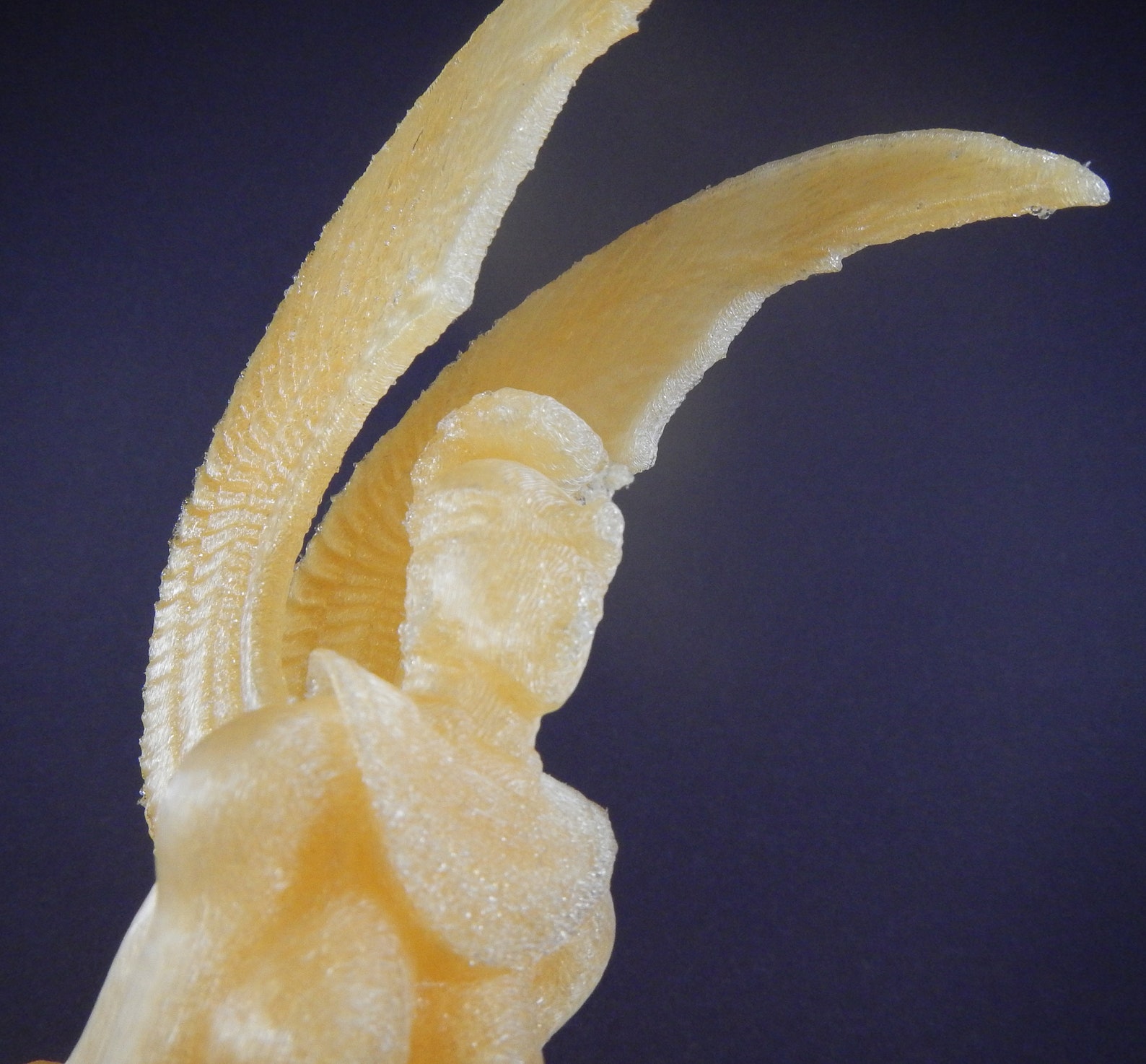 Neverending Story Sphinx 3D Printable STL File - Etsy