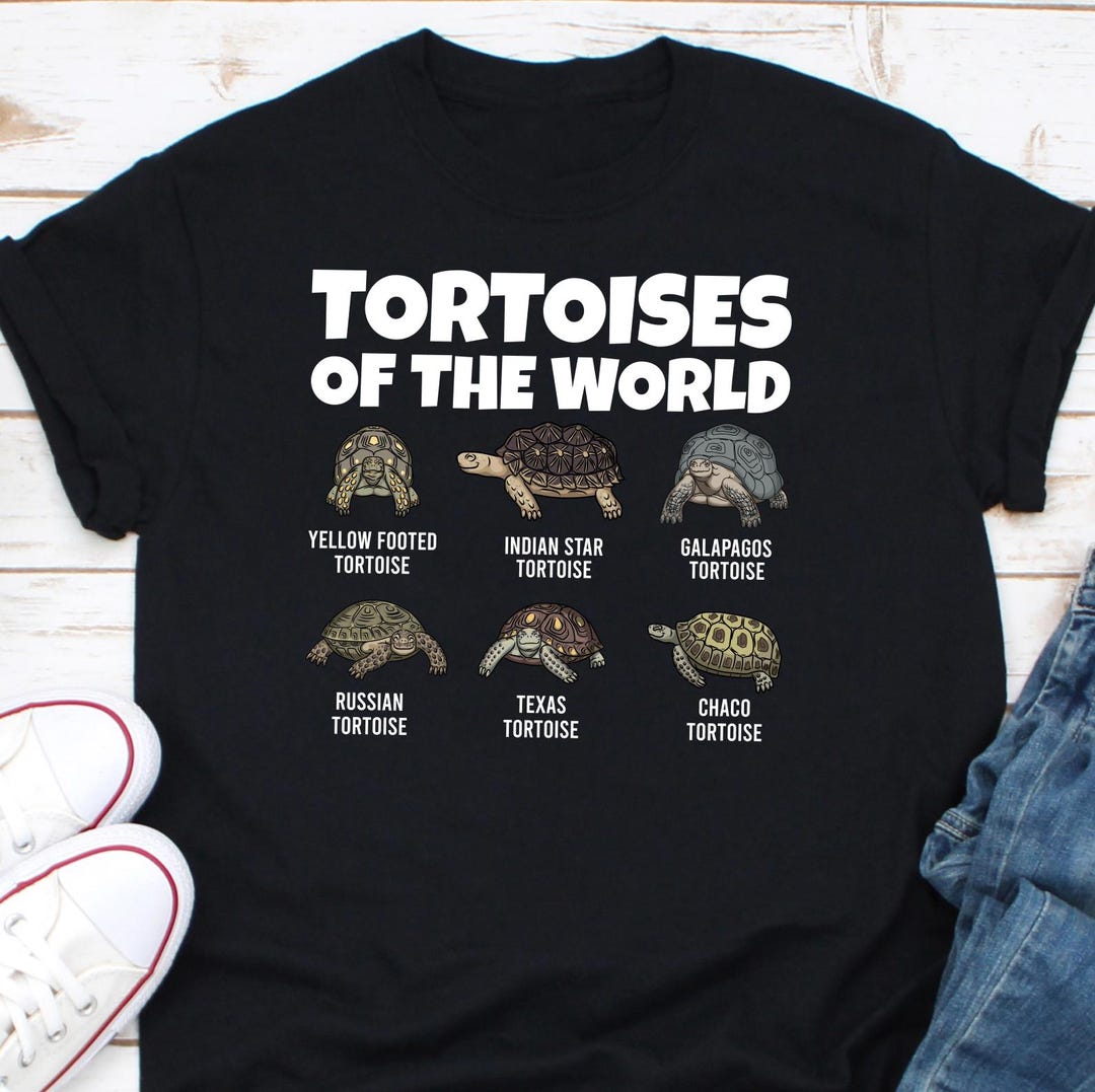Tortoises of the World Shirt, Turtle Shirt, Funny Tortoise Tee ...