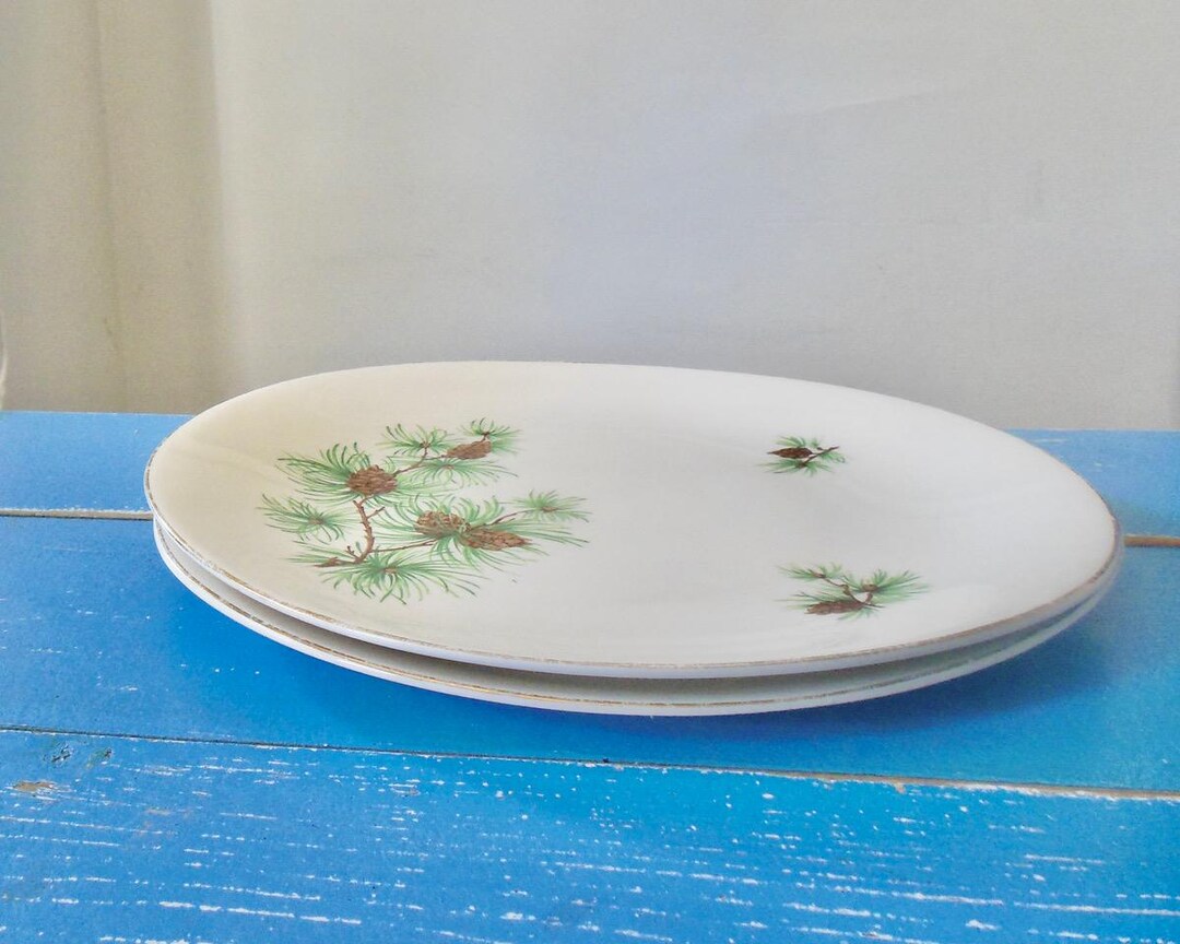 Vintage Dinner Plates, Johnson Brothers, pine Cones, Set of Two, Great ...