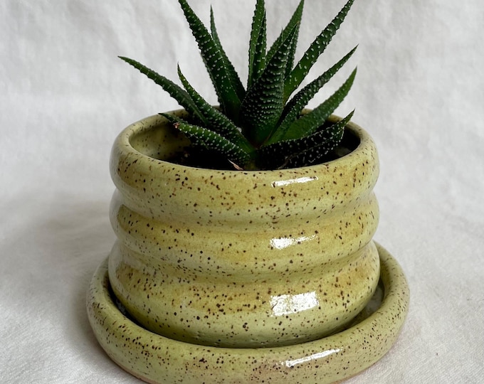 Small Wavy Ceramic Succulent Planter With Saucer- Mini Self Draining ...