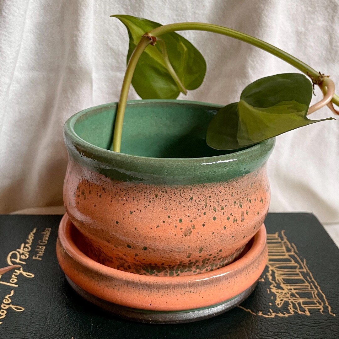 Colorful Ceramic Planter With Saucer Black Clay Tangerine and Avocado ...