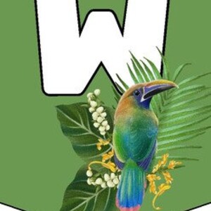 Welcome Banner Jungle Safari Rainforest Bunting Classroom Decor - Etsy
