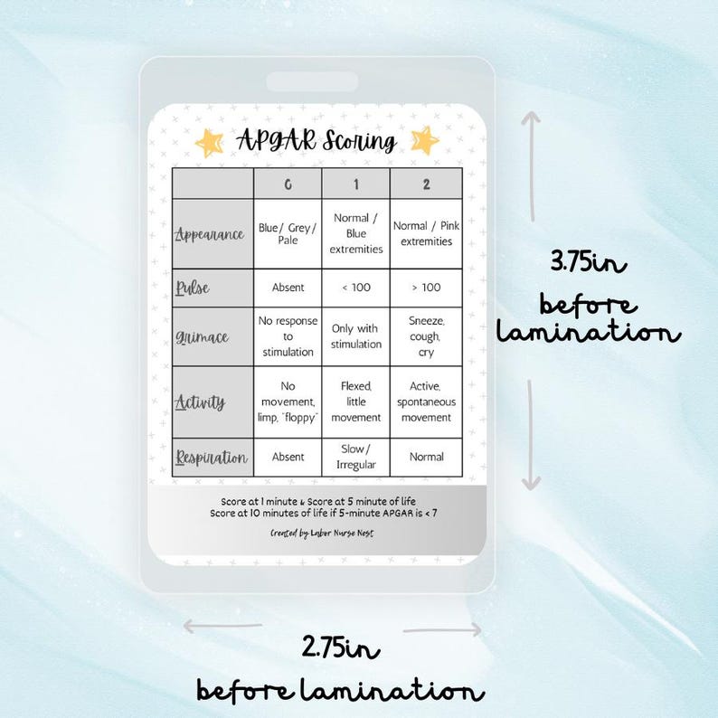 APGAR Score Badge Buddy | Updated NRP Reference Card With Umbilical ...