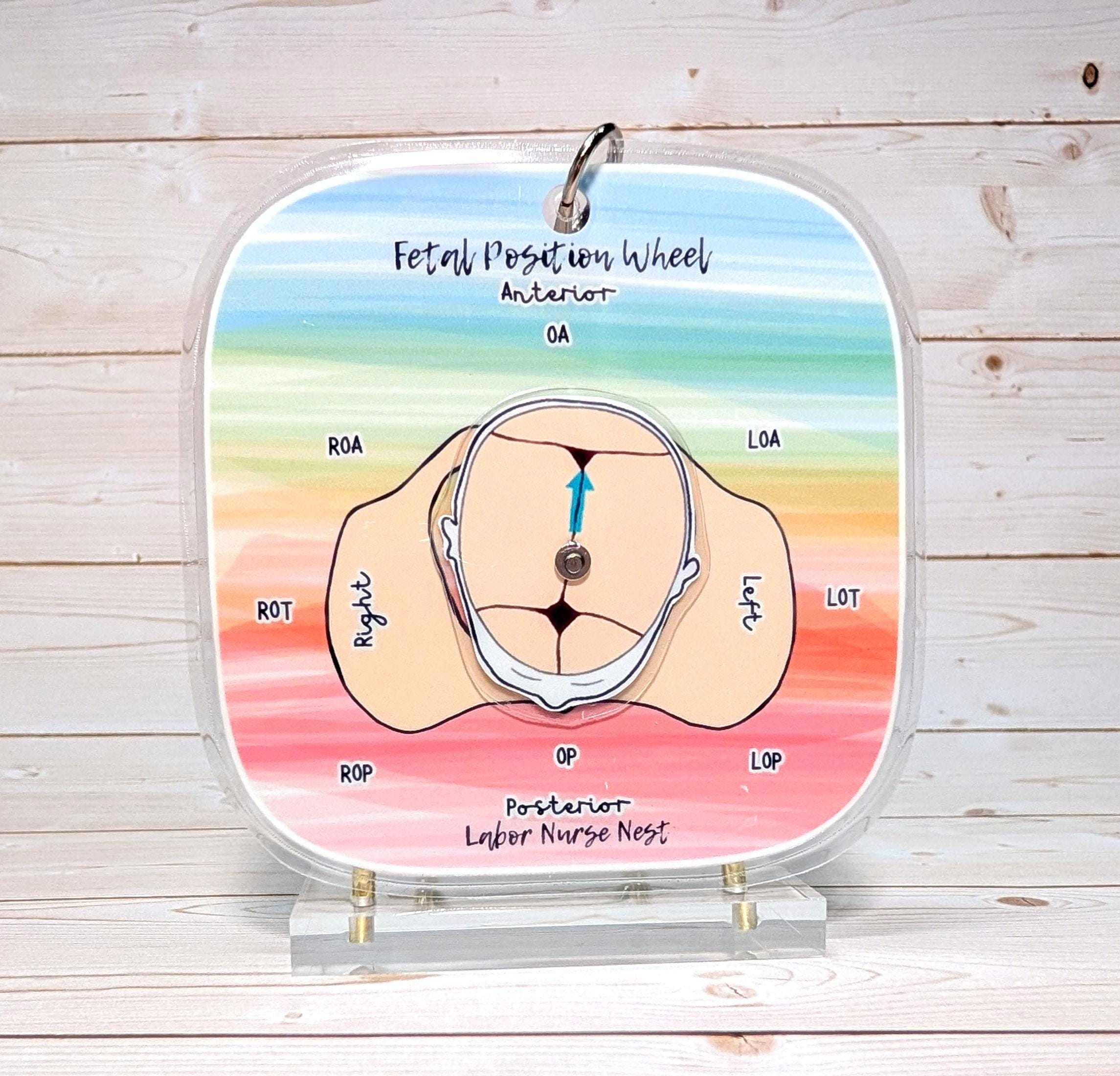 Rotating Fetal Position Wheel Badge Buddy | Vertex Presentation Visual ...