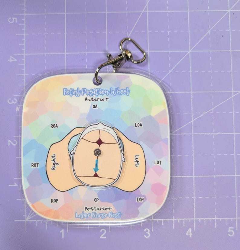 Rotating Fetal Position Wheel Badge Buddy | Vertex Presentation Visual ...