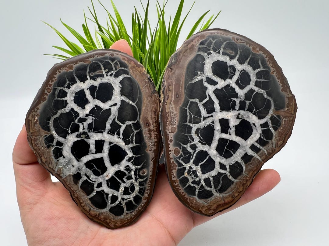 Large Septarian Nodule Geode Pair: Dragon Stone Healing Crystals - Etsy