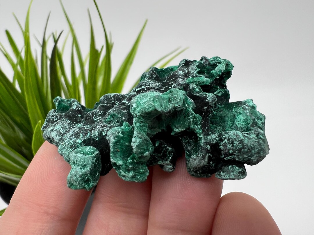 Green Malachite on Matrix, Morocco Mineral Specimen - Etsy