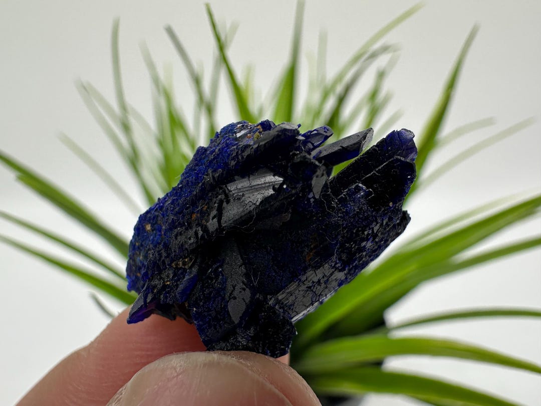 Crystallized Azurite-kerrouchen,morocco-blue Azurite Specimen-high ...