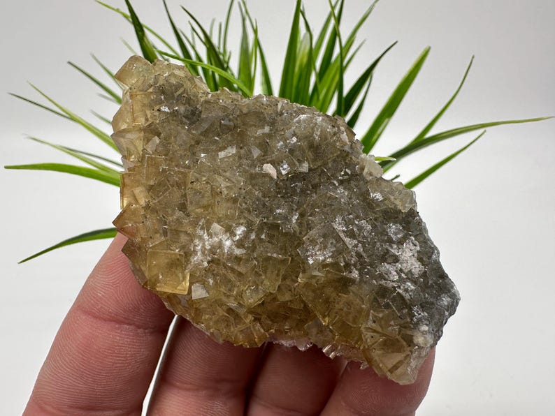 Spanish Yellow Fluorite With Pyrite, Mineral Specimen - Etsy