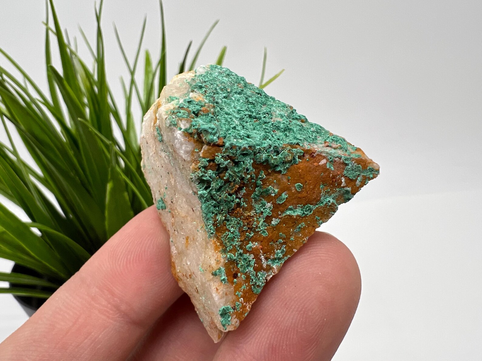 Green Malachite on Matrix, Moroccan Mineral Specimen - Etsy