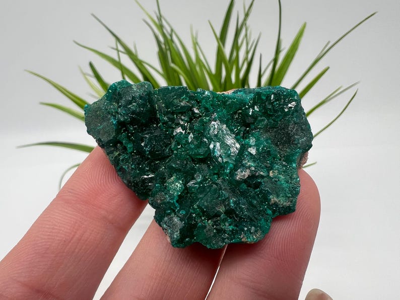 Stunning Green Dioptase From Sanda Hills,mindouli,pool Department ...