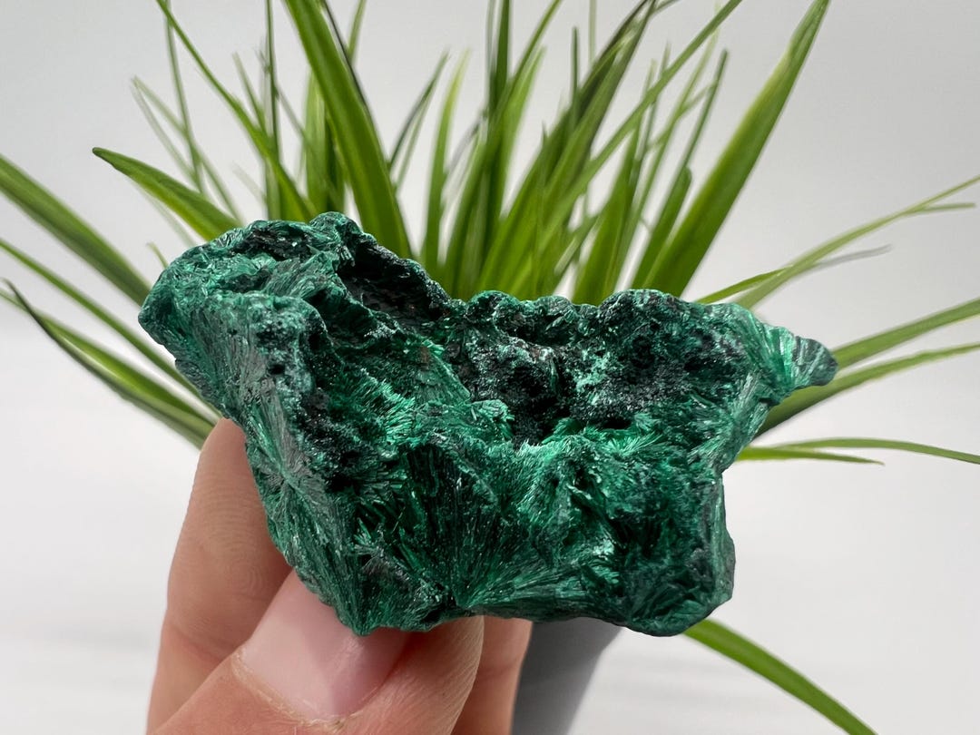 Stunning Green Malachite on Matrix,from Morocco,minerals,crystals ...