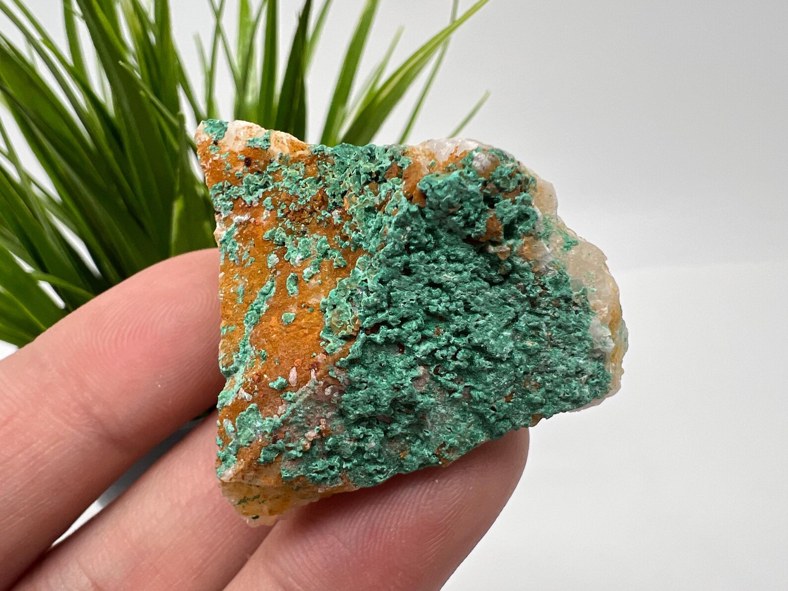 Green Malachite on Matrix, Moroccan Mineral Specimen - Etsy