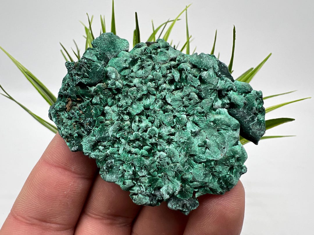 Green Malachite on Matrix, Moroccan Mineral Specimen - Etsy