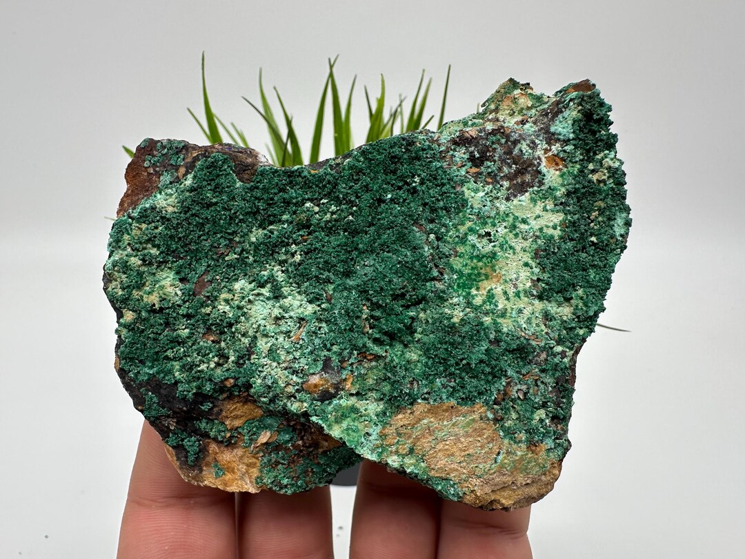 Stunning Green Malachite on Matrix,from Morocco,minerals,crystals ...