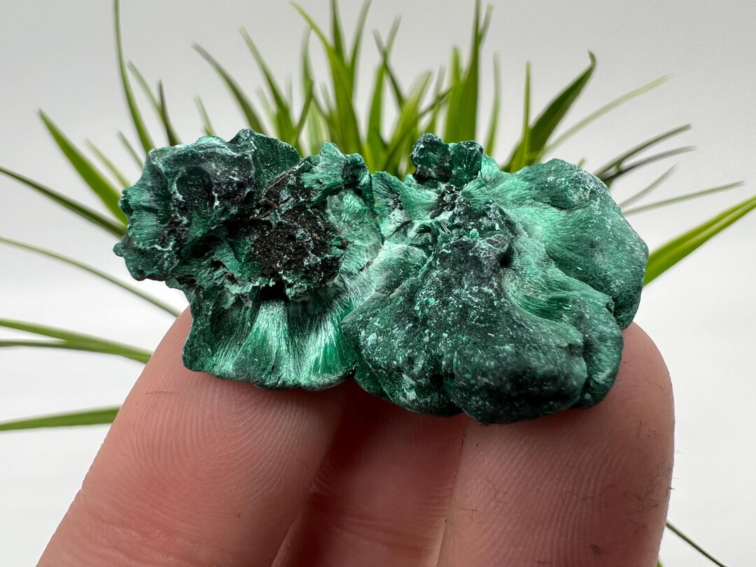 Green Malachite on Matrix, Moroccan Mineral Specimen - Etsy