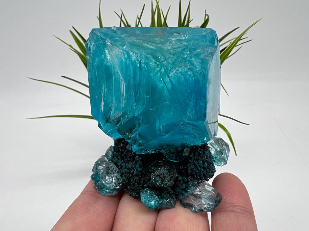 Exceptional Turquoise ALUNITE Aqua Crystal on Matrix UV Active,lab ...
