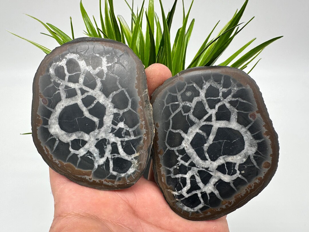Dragonstones Pair, Septarian Nodule Geode, Septaria, Dragonstone ...