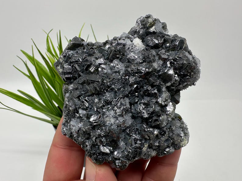 Galena With Quartz and Cleiophane From Krushev Dol Mine, Bulgaria ...