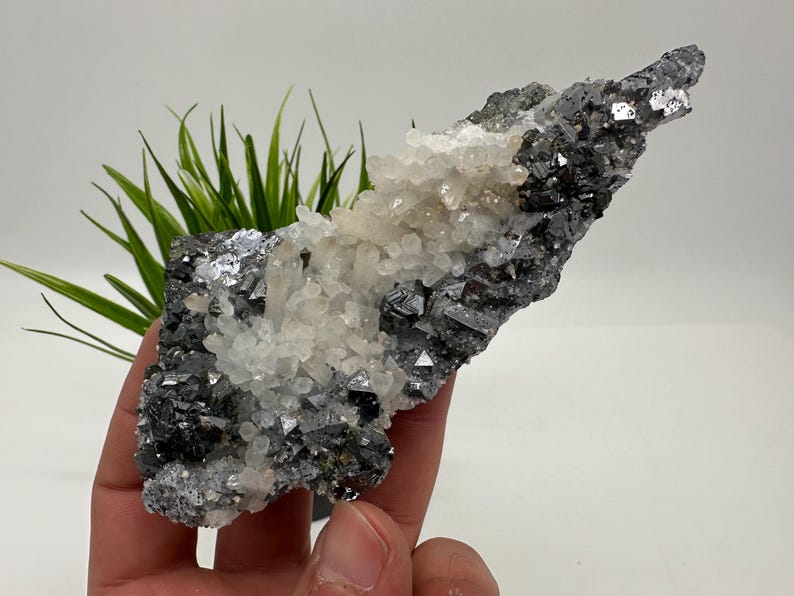 Galena With Quartz and Cleiophane From Krushev Dol Mine, Bulgaria ...