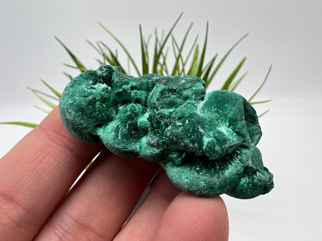 Green Malachite on Matrix: Moroccan Mineral Specimen, 32 Grams - Etsy