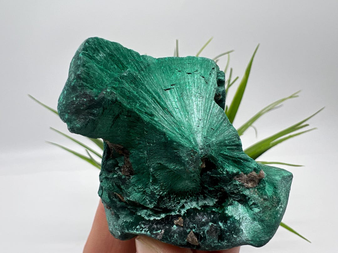Stunning Green Malachite on Matrix,from Morocco,minerals,crystals ...