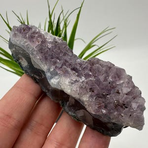 Brazilian Amethyst Cluster, Calcite Specimen - Etsy