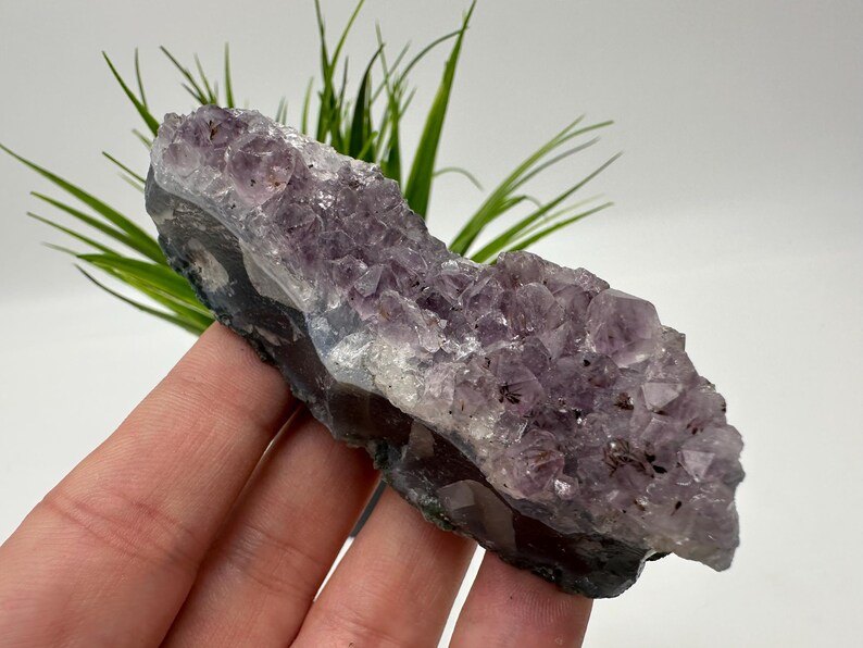 Brazilian Amethyst Cluster, Calcite Specimen - Etsy