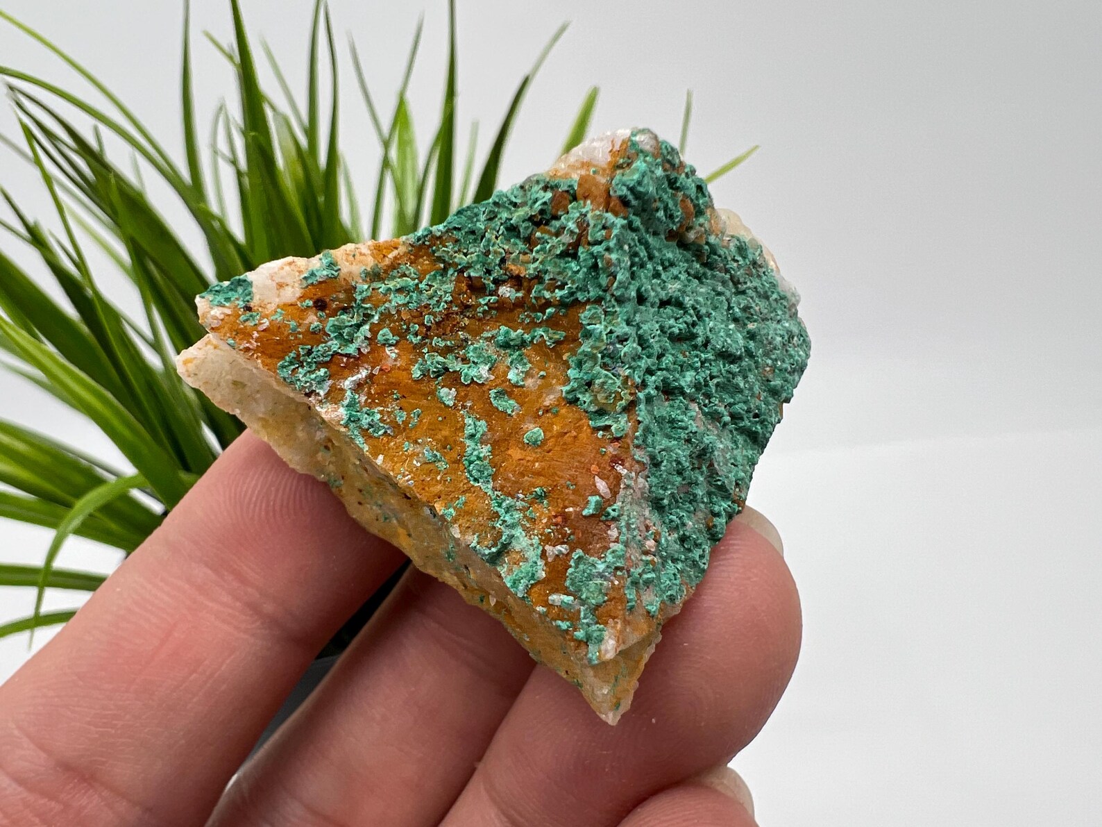 Green Malachite on Matrix, Moroccan Mineral Specimen - Etsy