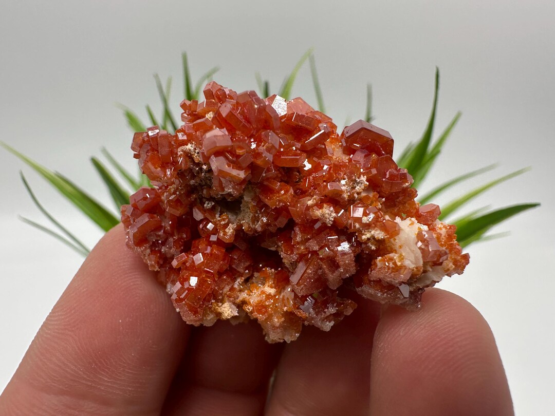 Red Vanadinite on BARITE From Morocco,crystal, Mineral,specimen,cluster ...