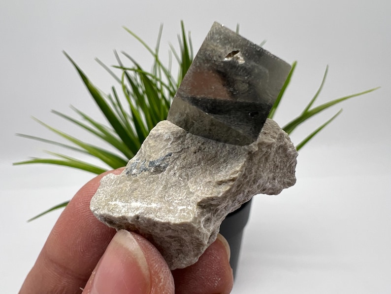 Large Pyrite Cube on Matrix, Natural Mineral Specimen - Etsy