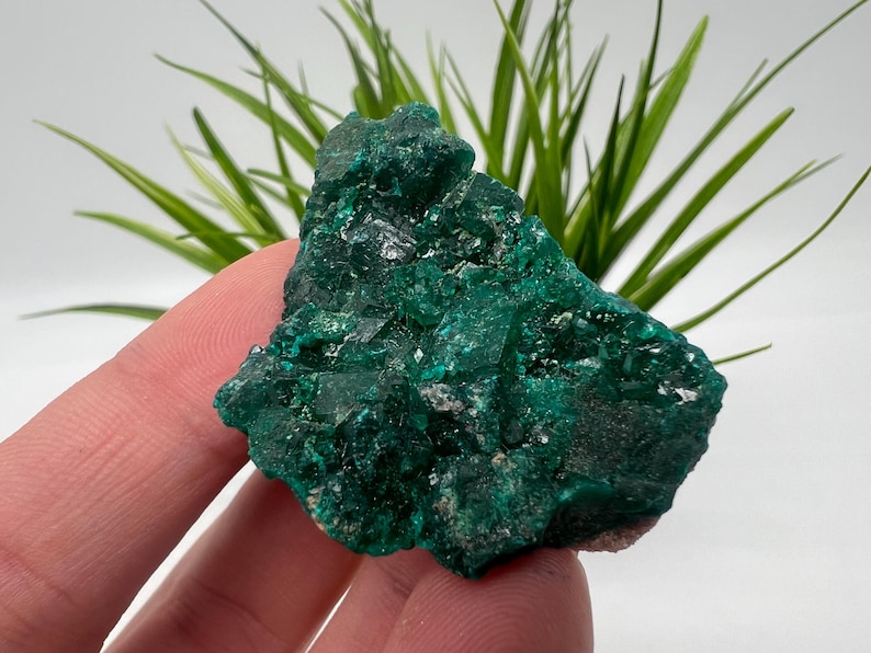 Stunning Green Dioptase From Sanda Hills,mindouli,pool Department ...