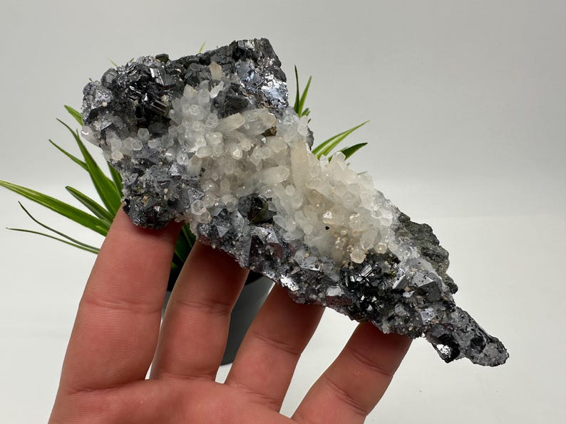 Galena With Quartz and Cleiophane From Krushev Dol Mine, Bulgaria ...