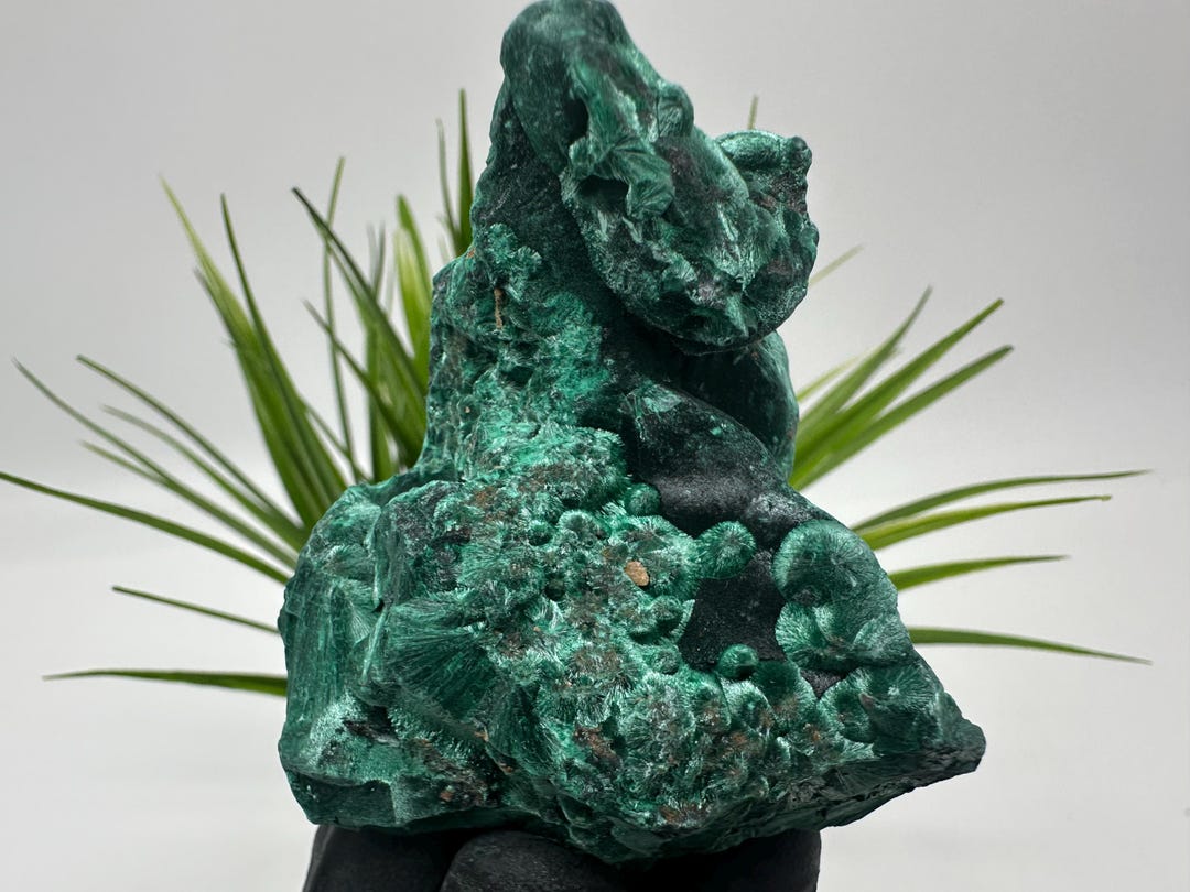 Stunning Green Malachite on Matrix,from Morocco,minerals,crystals ...