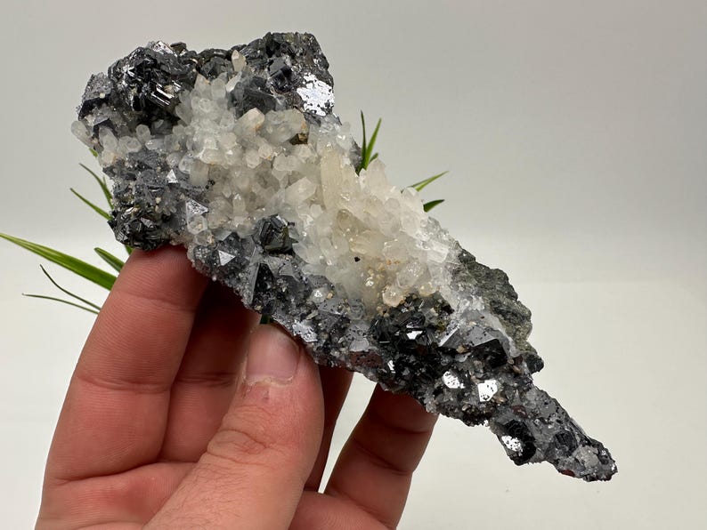 Galena With Quartz and Cleiophane From Krushev Dol Mine, Bulgaria ...