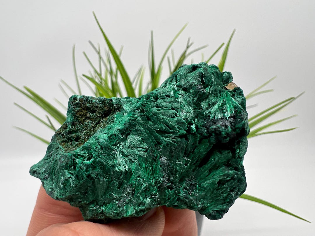 Stunning Green Malachite on Matrix,from Morocco,minerals,crystals ...