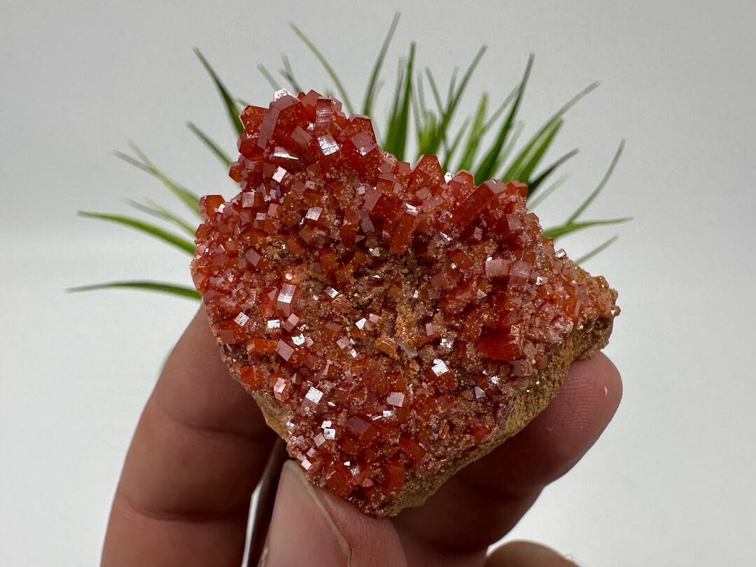 Red Vanadinite on Barite Cluster, Morocco Mineral Specimen - Etsy