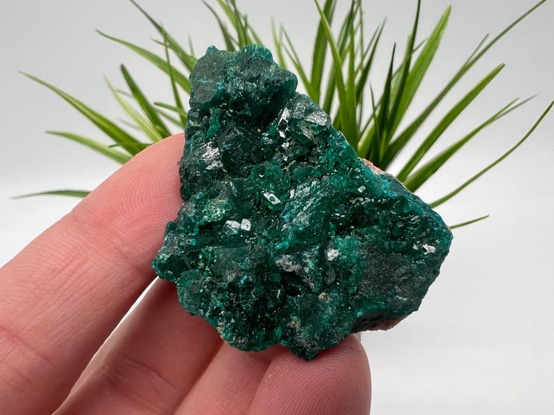 Stunning Green Dioptase From Sanda Hills,mindouli,pool Department ...