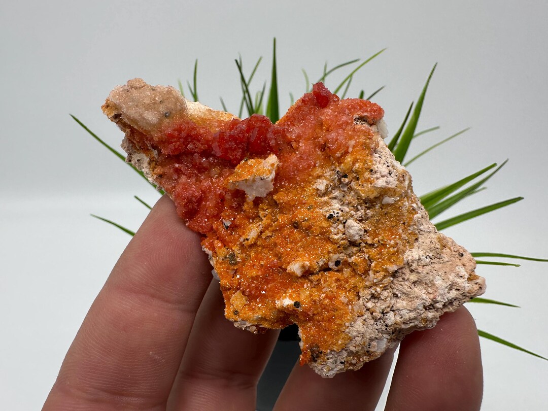 Red Vanadinite Crystal Cluster on Matrix, Morocco Mineral Specimen - Etsy