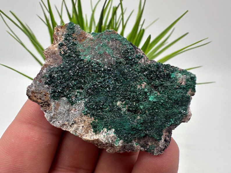 Green Malachite on Matrix, Congo Mineral Specimen - Etsy