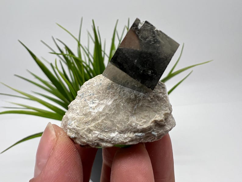 Large Pyrite Cube on Matrix, La Rioja Spain, Mineral Specimen - Etsy