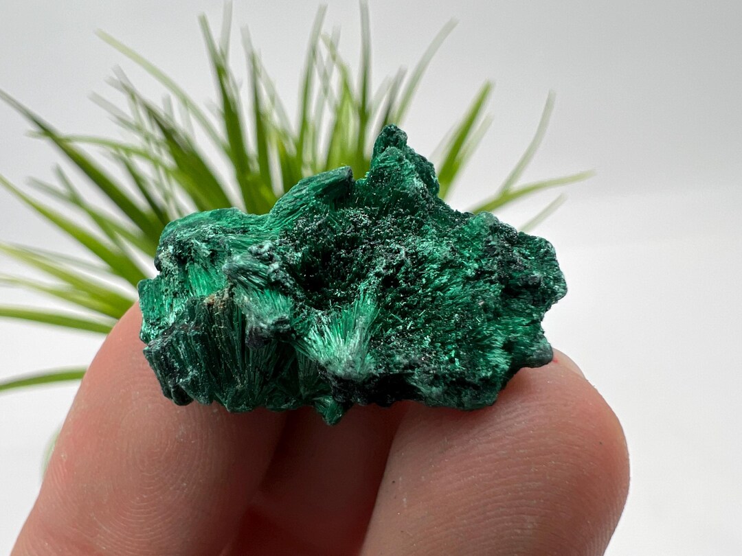 Congo Malachite Crystal Specimen: Natural Green Stone, Chakra Mineral ...