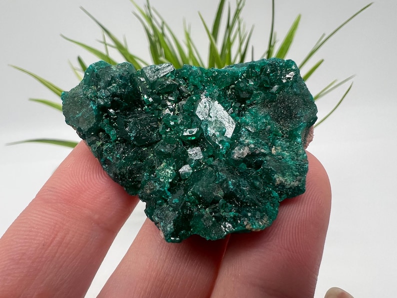 Stunning Green Dioptase From Sanda Hills,mindouli,pool Department ...