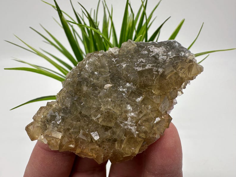 Spanish Yellow Fluorite With Pyrite, Mineral Specimen - Etsy