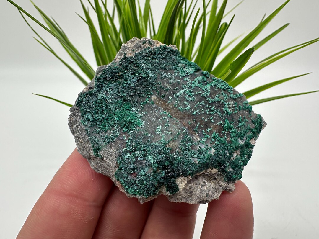 Stunning Green Malachite on Matrix,from Congo,minerals,crystals,mineral ...