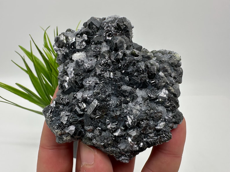 Galena With Quartz and Cleiophane From Krushev Dol Mine, Bulgaria ...