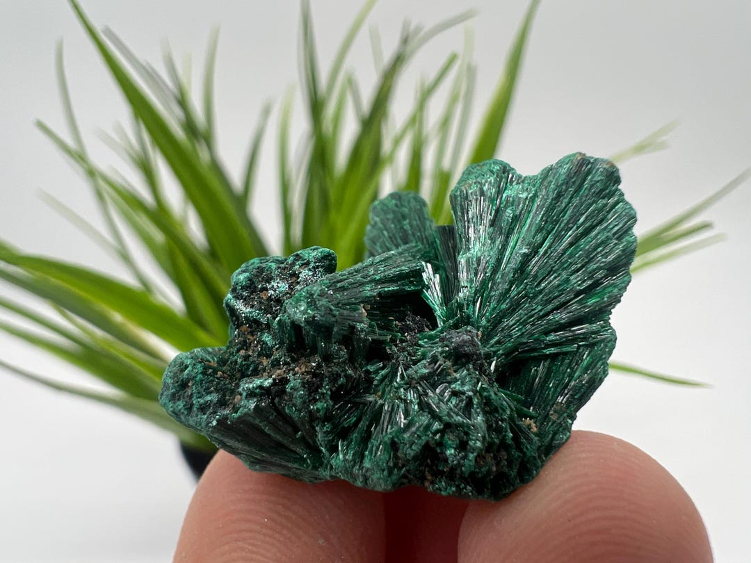 Stunning Green Malachite on Matrix,from Morocco,minerals,crystals ...