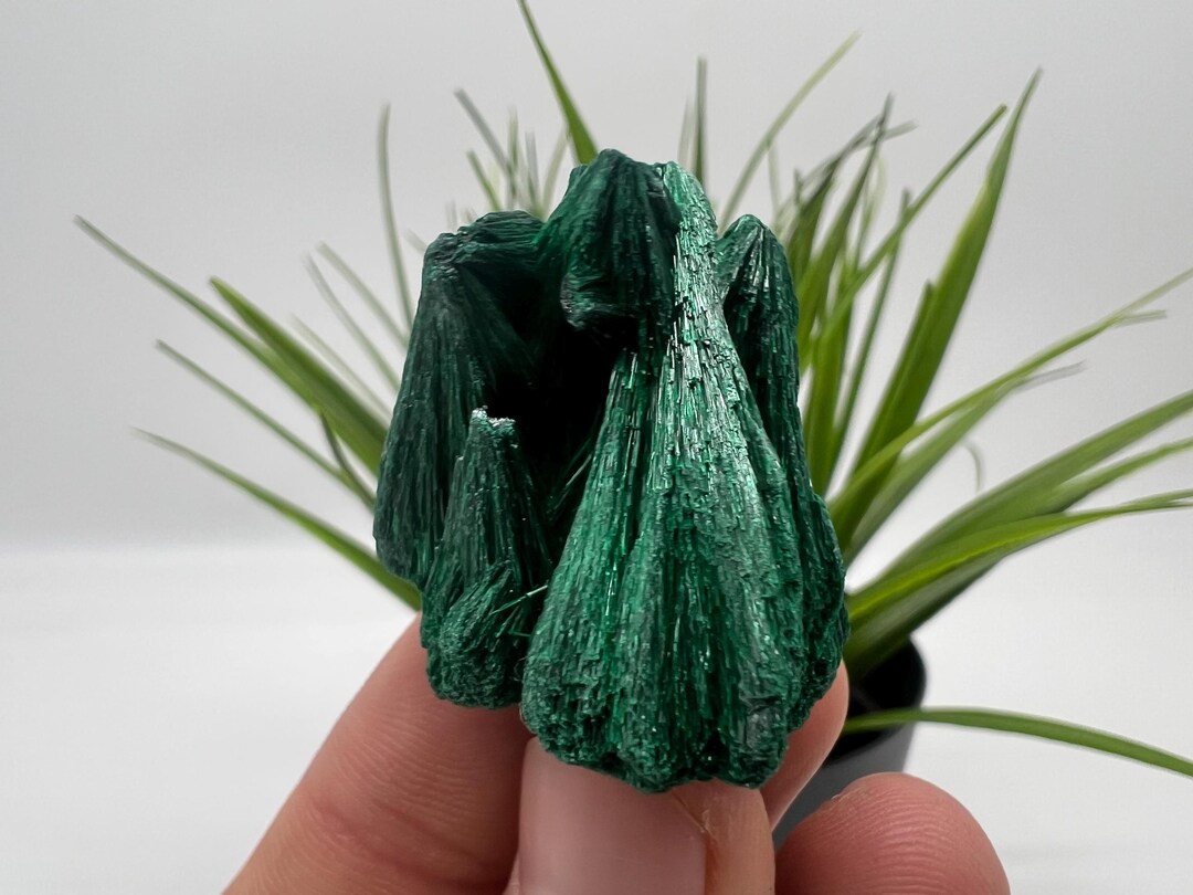 Stunning Green Malachite on Matrix,from Morocco,minerals,crystals ...