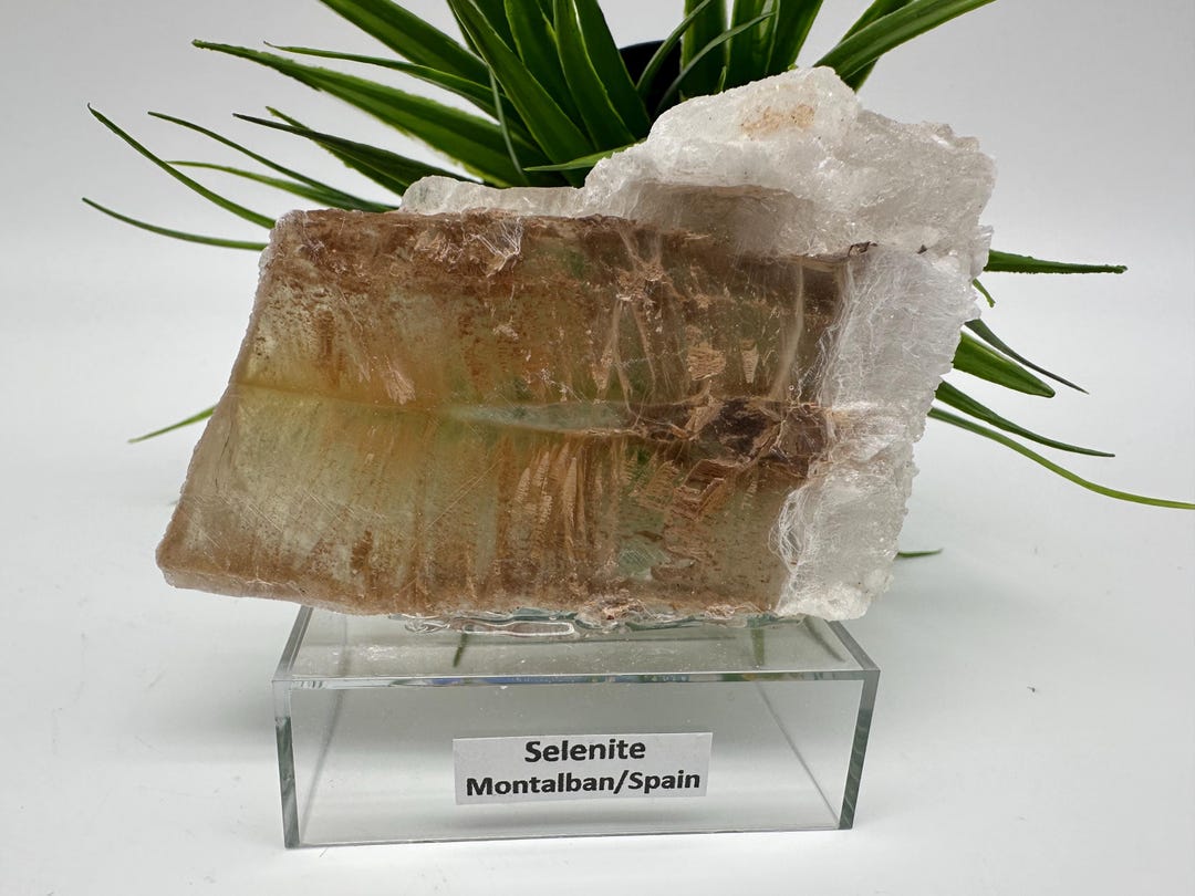 TOP QUALITY! Golden Phantom Selenite Slabs. Fishtail Selenite. Utah Raw ...