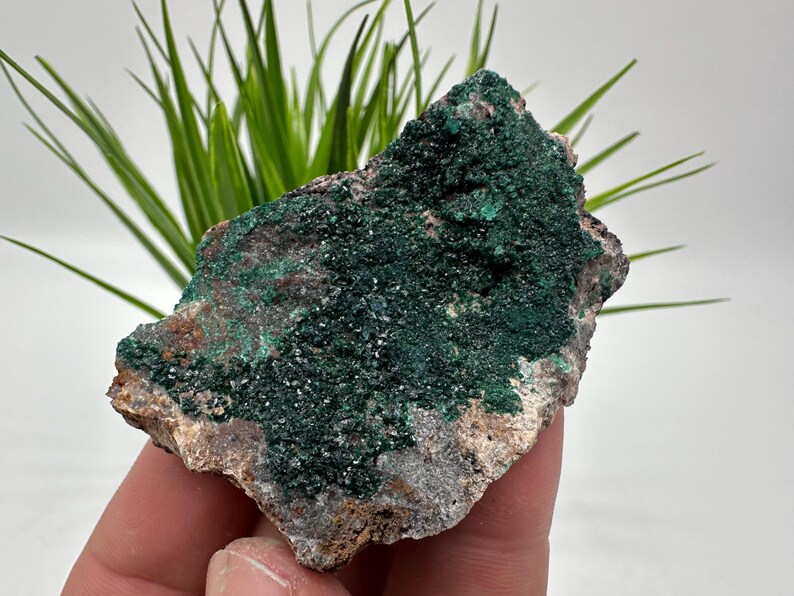 Green Malachite on Matrix, Congo Mineral Specimen - Etsy